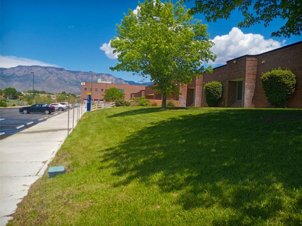 Montoya Goes Green and Greener – The CNM Chronicle